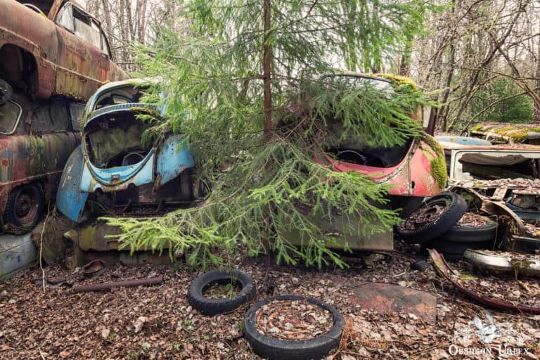 Classic Car Cemetery In The Forest, Sweden - Obsidian Urbex Photography ...