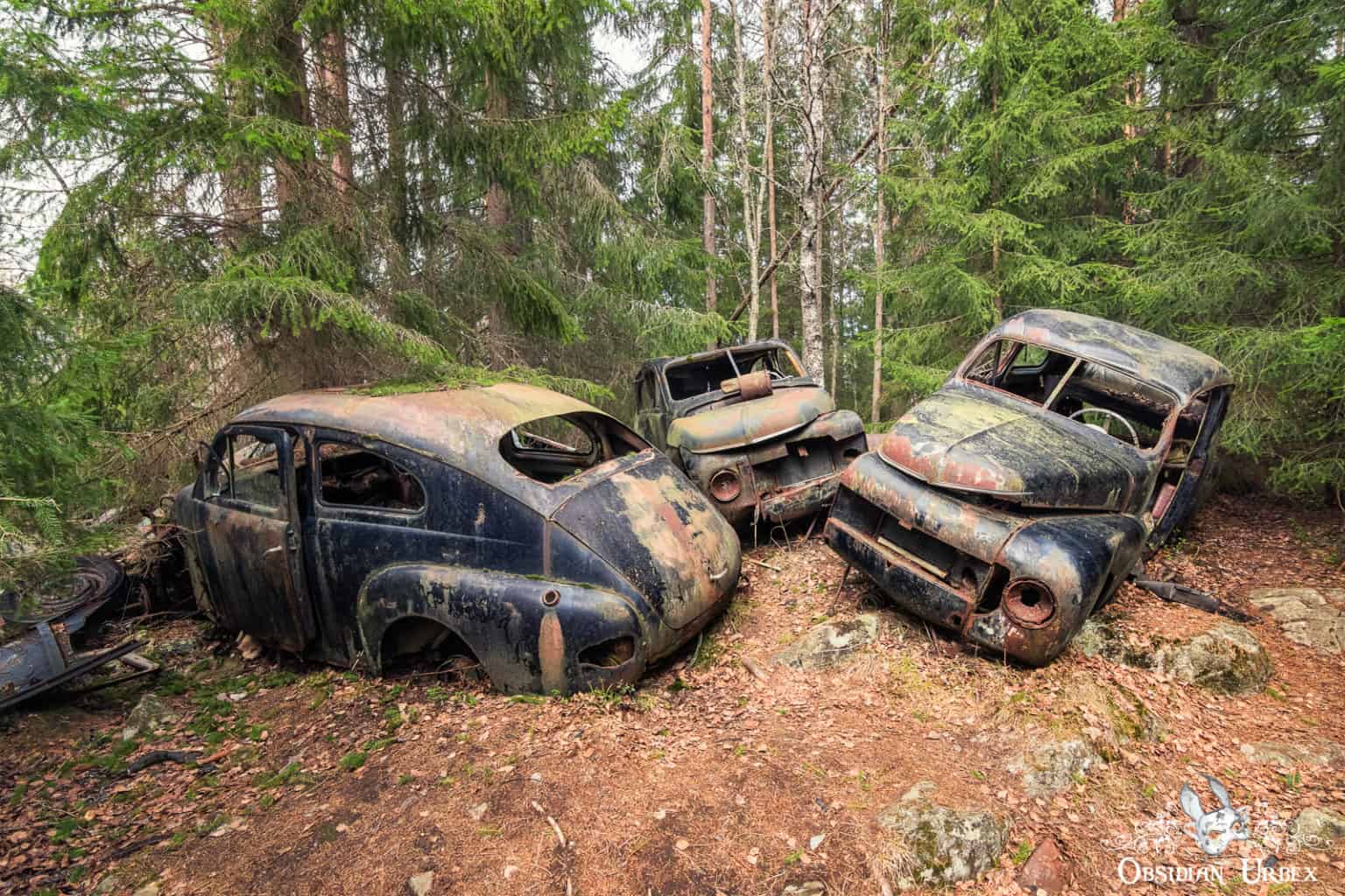 Classic Car Cemetery In The Forest, Sweden - Obsidian Urbex Photography ...
