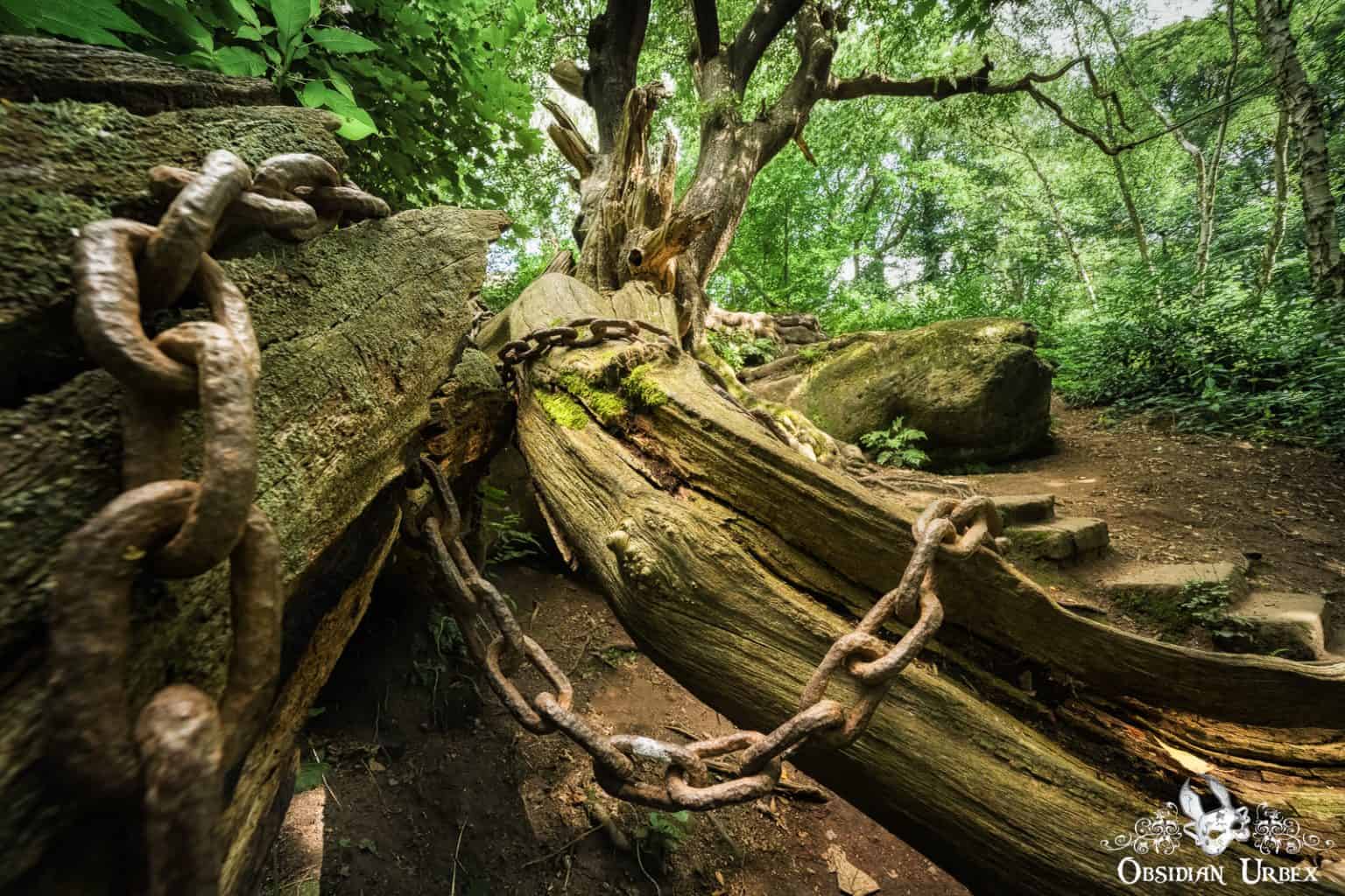 The Chained Oak, England - Obsidian Urbex Photography | Urban ...
