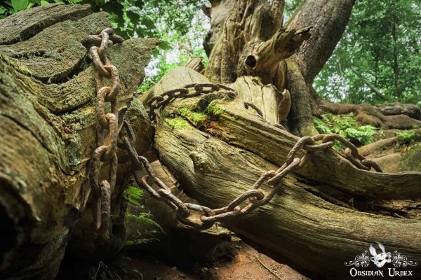 The Chained Oak, England - Obsidian Urbex Photography | Urban ...