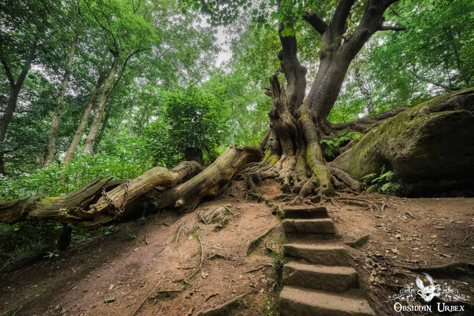 The Chained Oak, England - Obsidian Urbex Photography | Urban ...