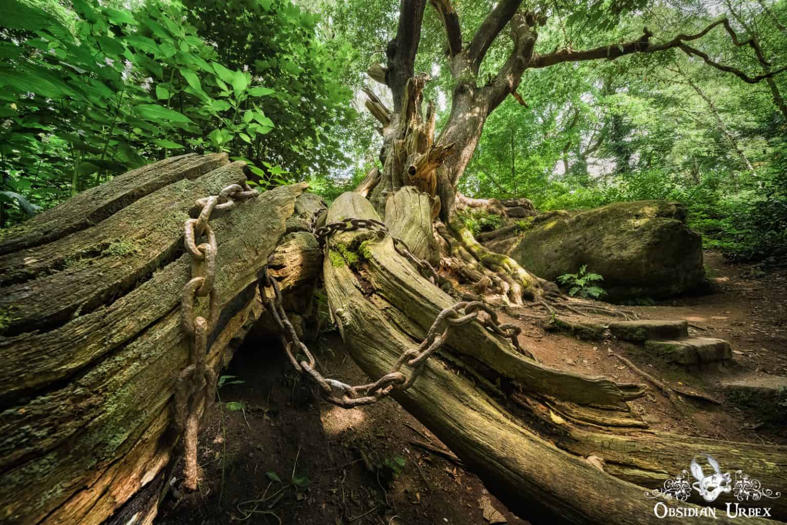 The Chained Oak, England - Obsidian Urbex Photography | Urban Exploration | Abandoned Places