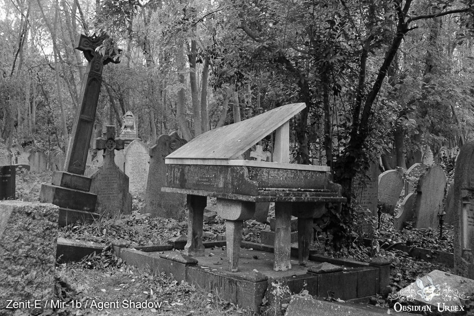 Kosmo Foto Agent Shadow 400 (35mm film) Review & Photos - Obsidian ...