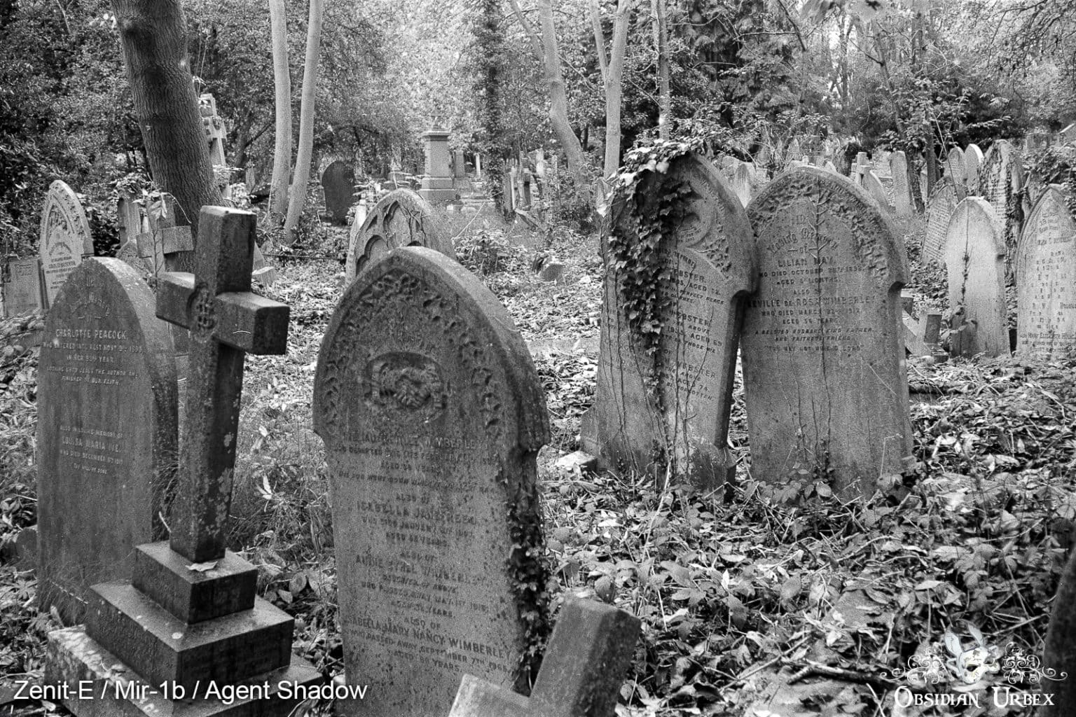 Kosmo Foto Agent Shadow 400 (35mm film) Review & Photos - Obsidian ...