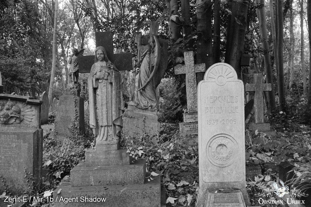 Kosmo Foto Agent Shadow 400 (35mm film) Review & Photos - Obsidian ...