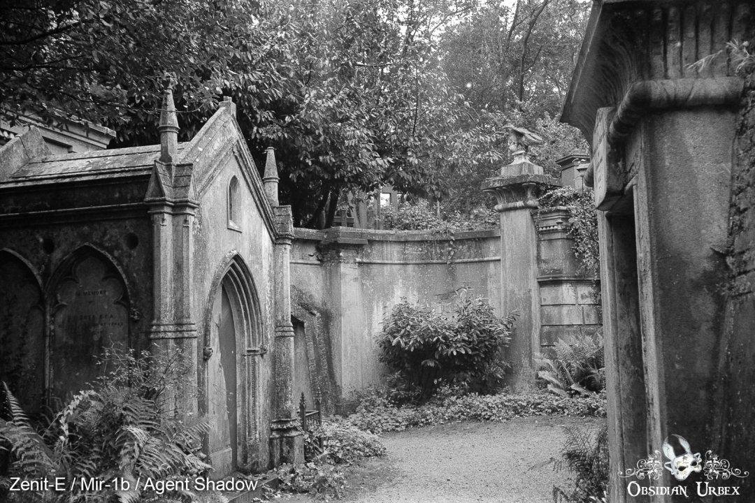 Kosmo Foto Agent Shadow 400 (35mm film) Review & Photos - Obsidian ...