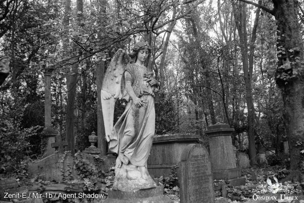 Kosmo Foto Agent Shadow 400 (35mm film) Review & Photos - Obsidian ...