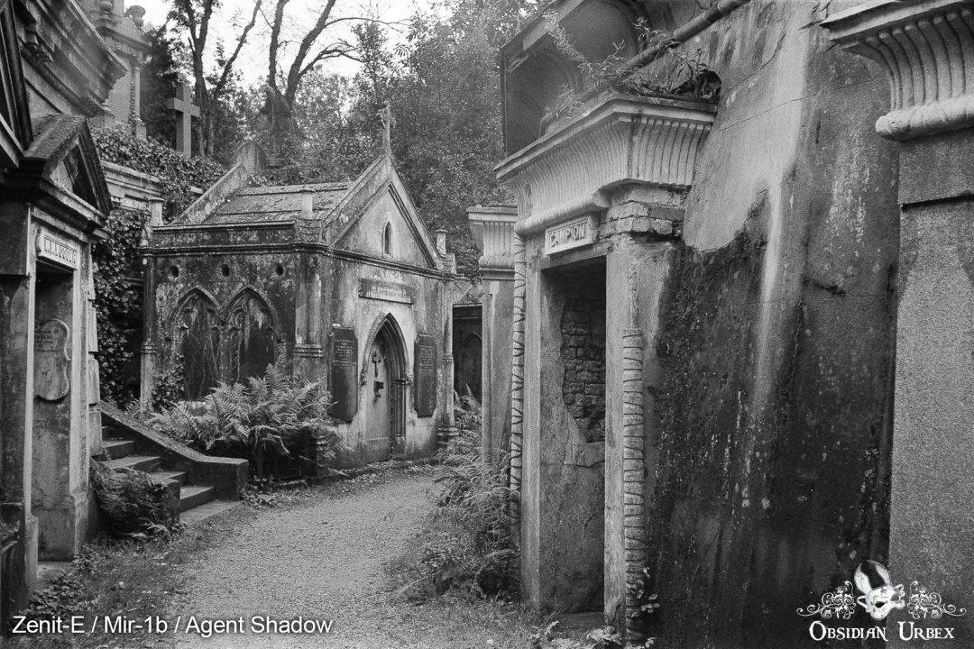 Kosmo Foto Agent Shadow 400 (35mm film) Review & Photos - Obsidian ...