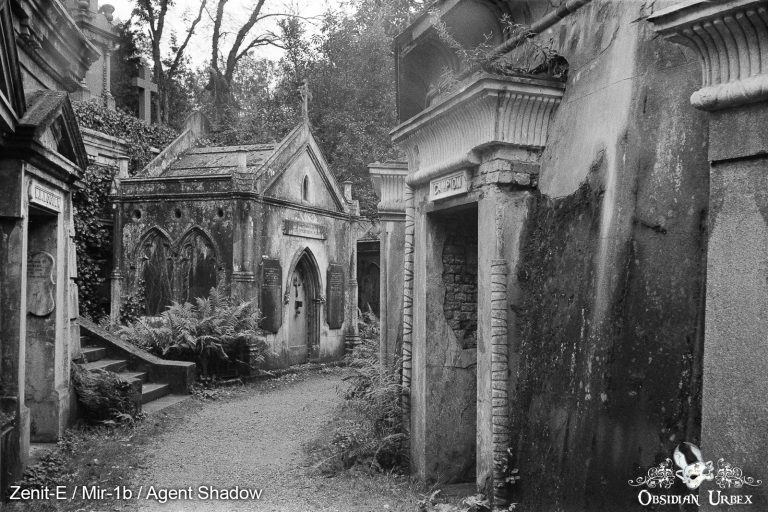 Kosmo Foto Agent Shadow 400 (35mm film) Review & Photos - Obsidian ...