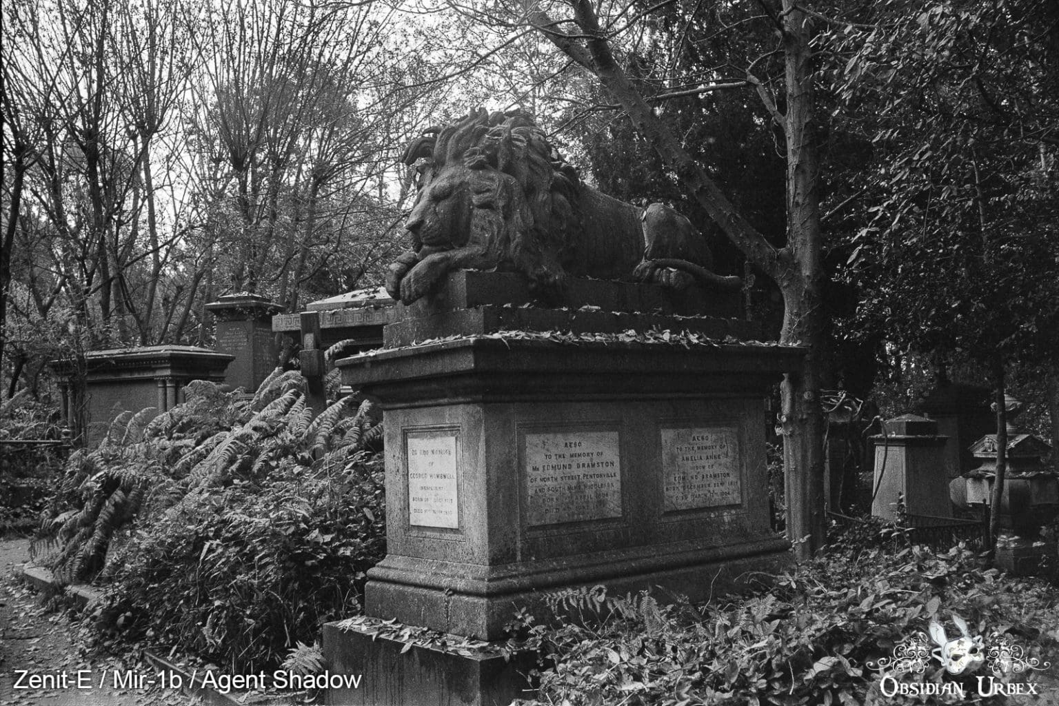 Kosmo Foto Agent Shadow 400 (35mm film) Review & Photos - Obsidian ...