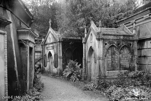 Kosmo Foto Agent Shadow 400 (35mm film) Review & Photos - Obsidian ...