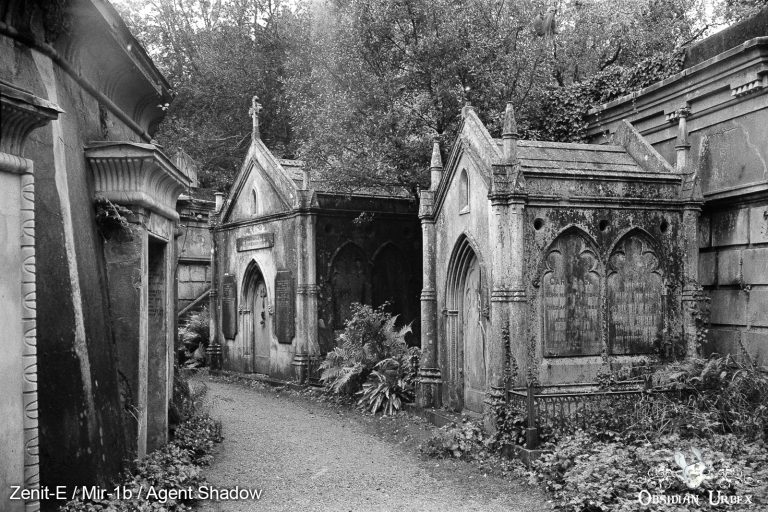 Kosmo Foto Agent Shadow 400 (35mm film) Review & Photos - Obsidian ...