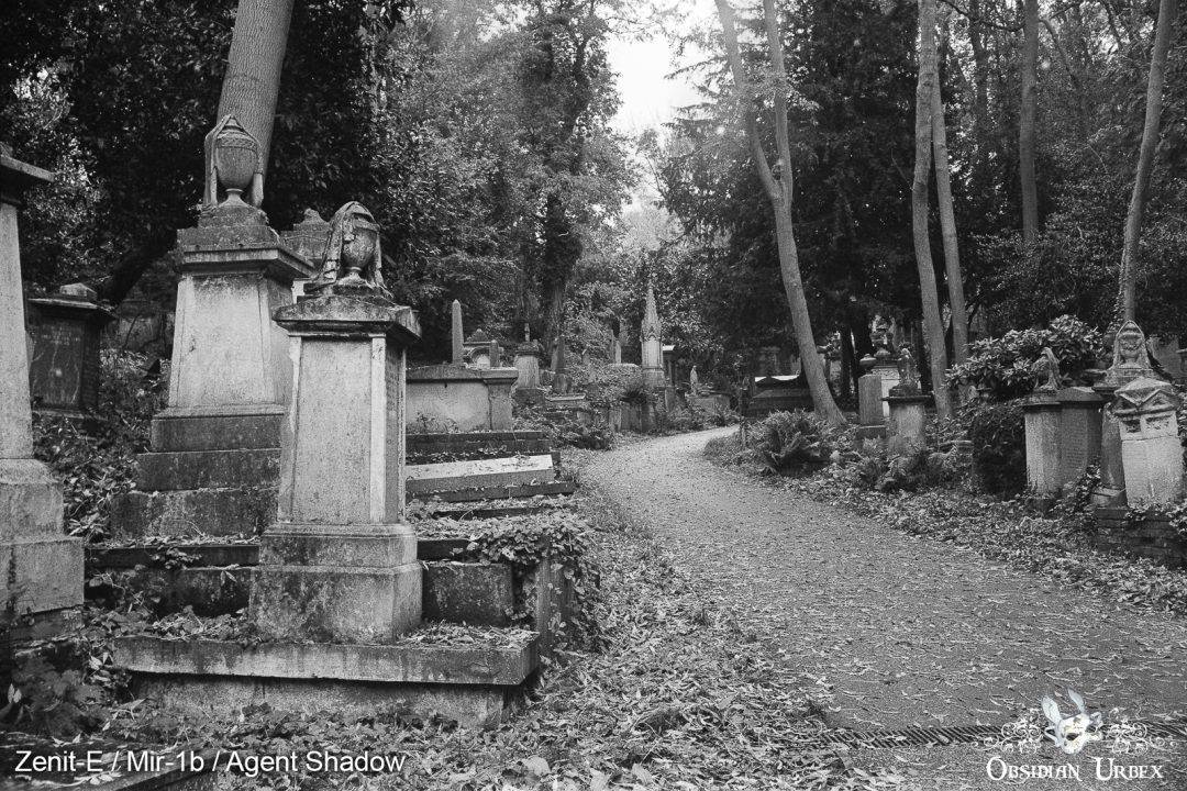 Kosmo Foto Agent Shadow 400 (35mm film) Review & Photos - Obsidian ...