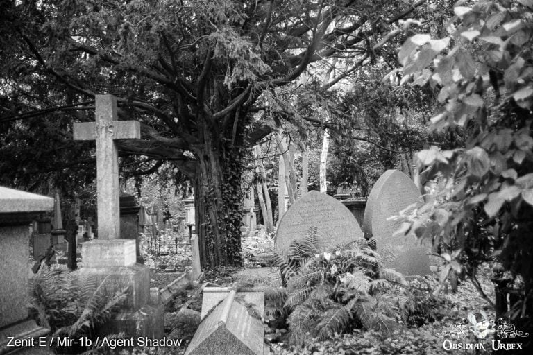 Kosmo Foto Agent Shadow 400 (35mm film) Review & Photos - Obsidian ...